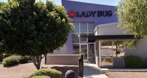 Lady Bug Eco-Friendly Pest Control | LiquidSpace